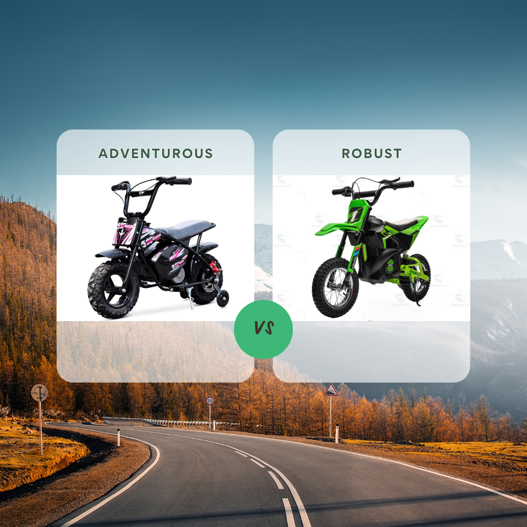 What Is The Difference Between The OneMonkey EX1S and the MotoWizz 24V ...