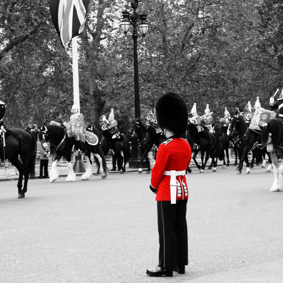 Teaching Your Kids About Trooping the Colour – RiiRoo