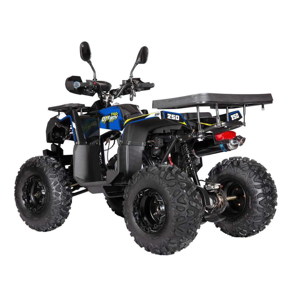 OneATV PX6S 250cc Quad Bike: The Ultimate Off-Road Vehicle with Alarm ...