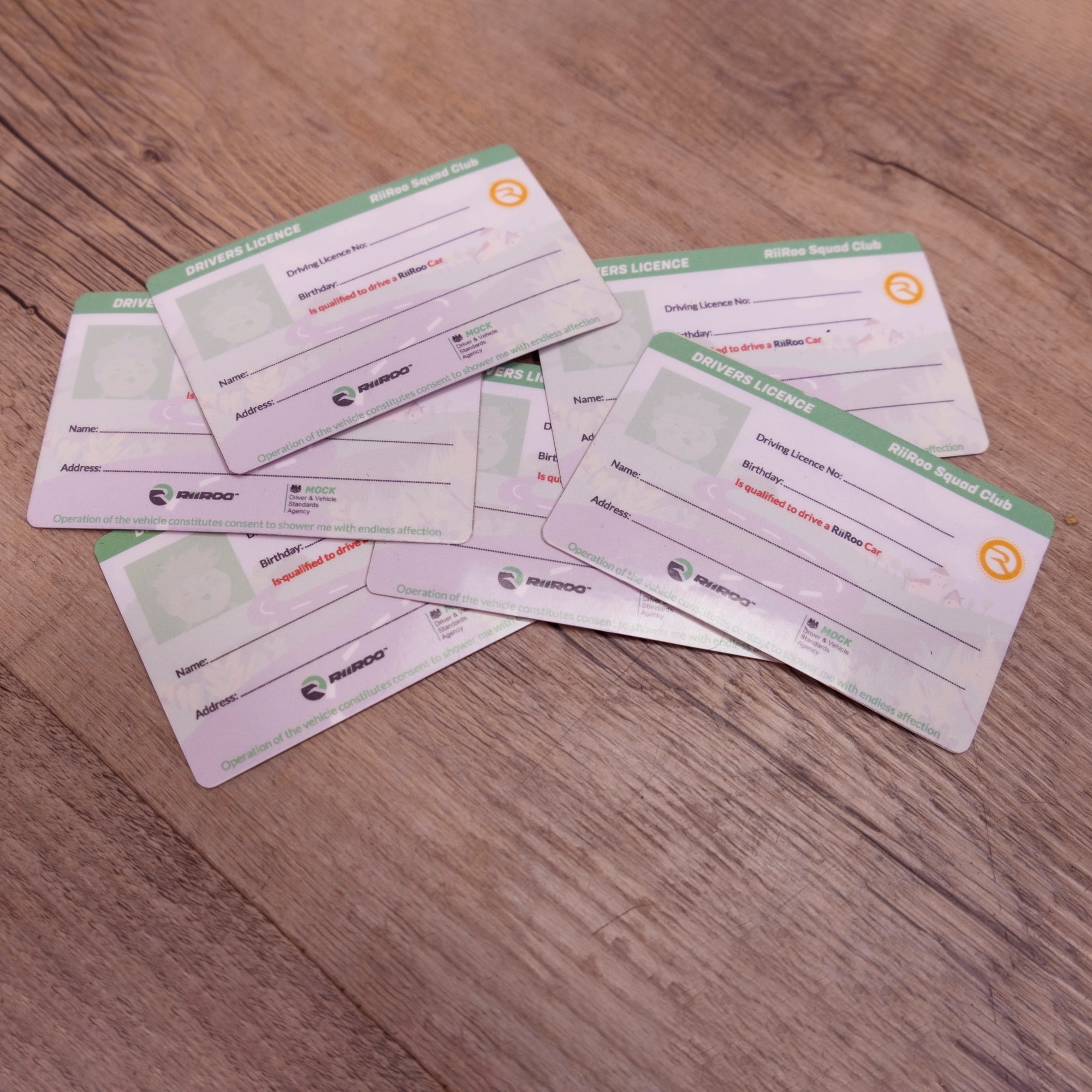 RiiRoo Driving Test and Driving License Kit